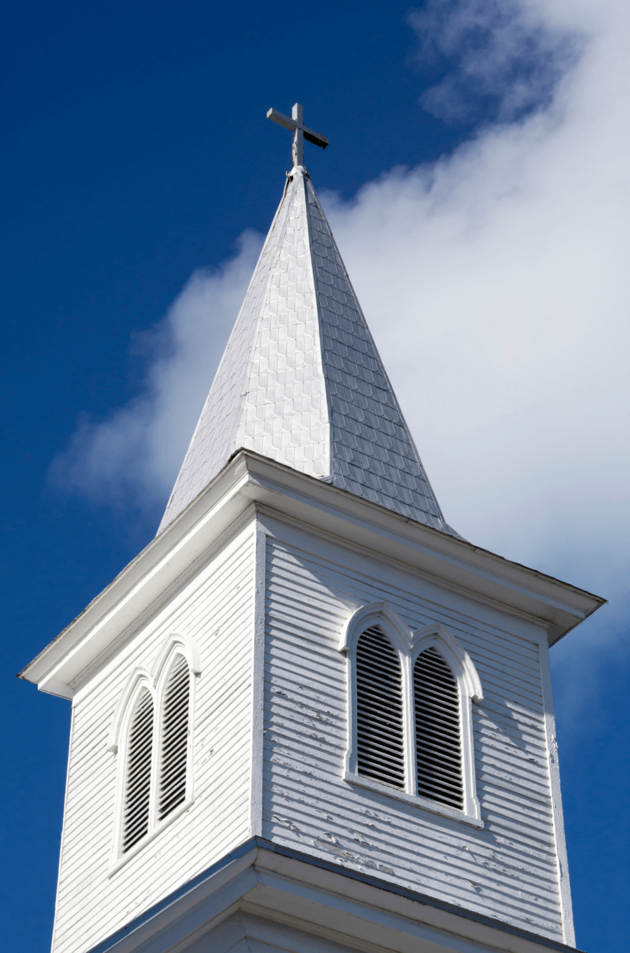 Following God’s plan to share his Word - TLHA